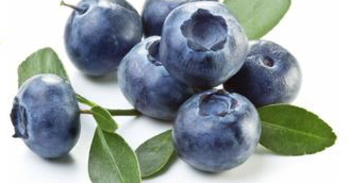 ARÁNDANO | AGROSMARTglobal